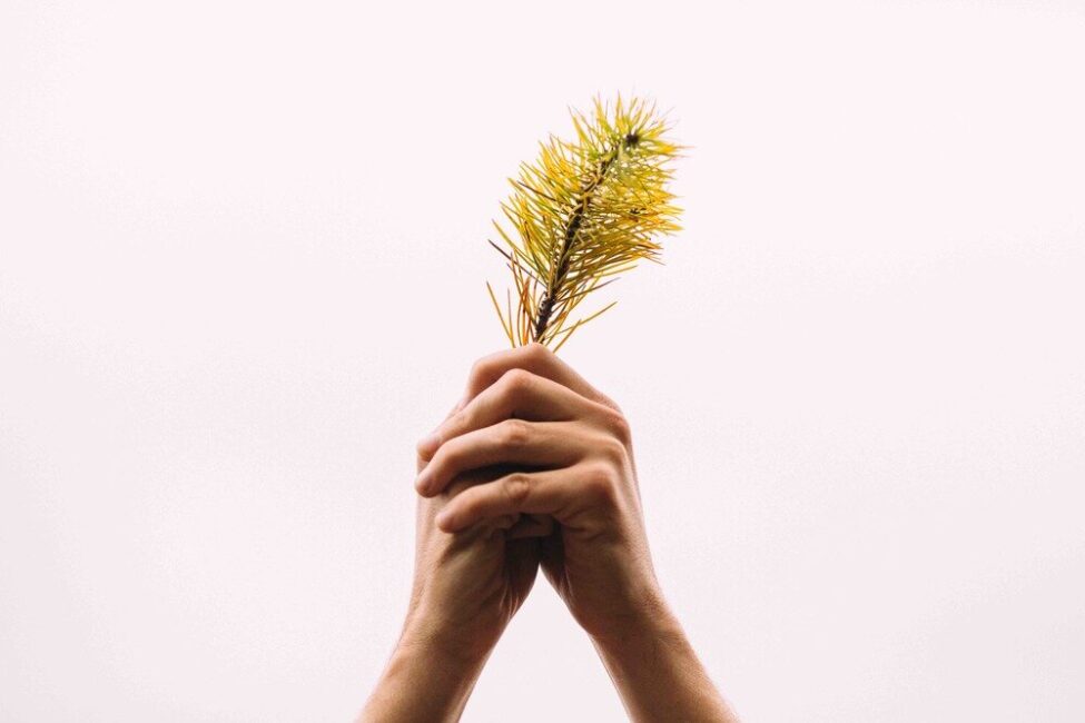 10 Simple Changes You Can Make To Live A More Green, Sustainable Life ...