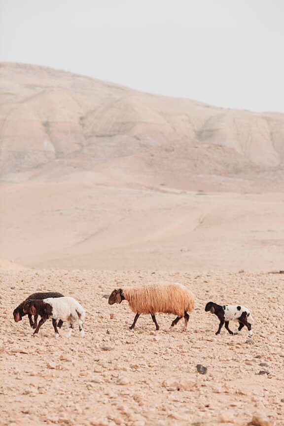 10 Podcasts That Inspire Cultural Awareness - The Good Trade