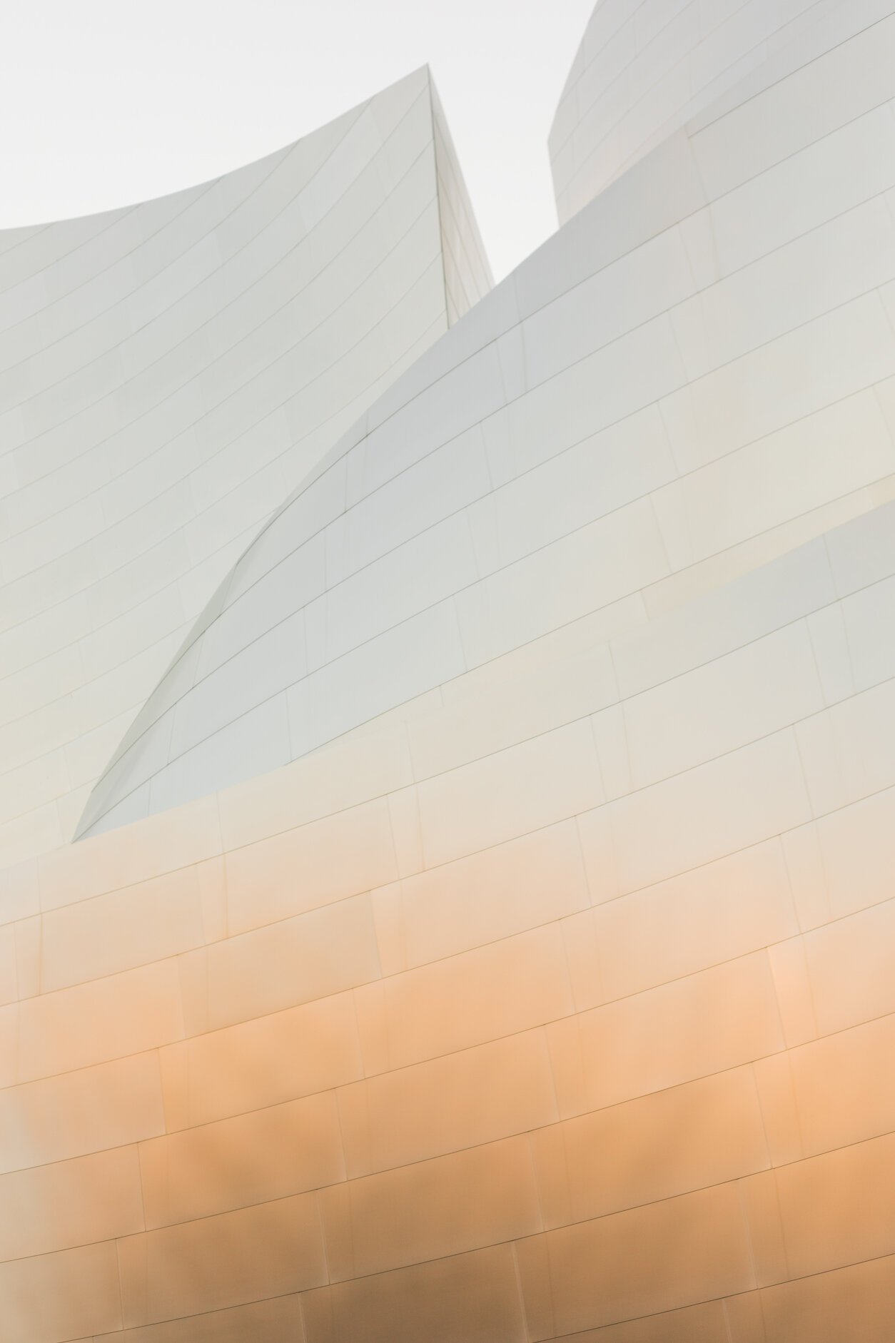 The Danger & Inherent Privilege Of Neutral Politics - The Good Trade