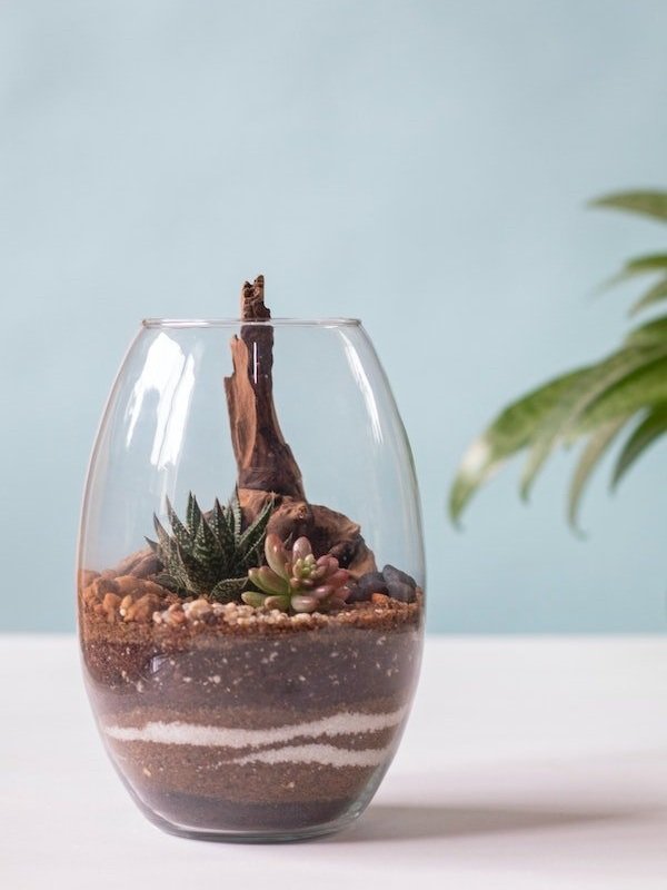 Bring The Outdoors In: How To Make Your Very Own Terrarium - The Good Trade