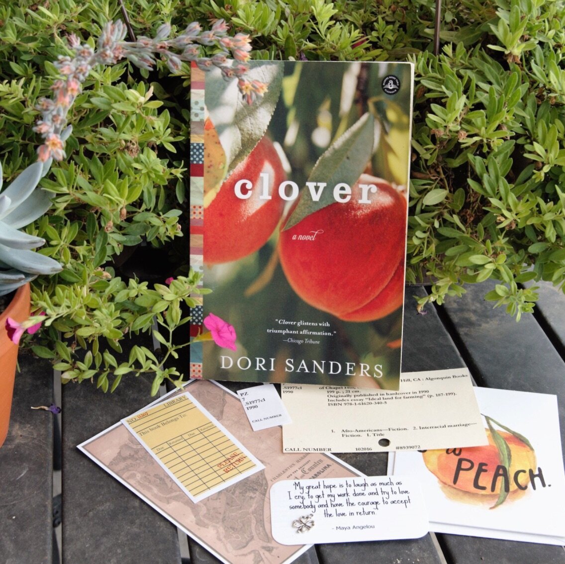 9 Book Club Subscriptions That Keep Our Reading List Fresh - The Good Trade