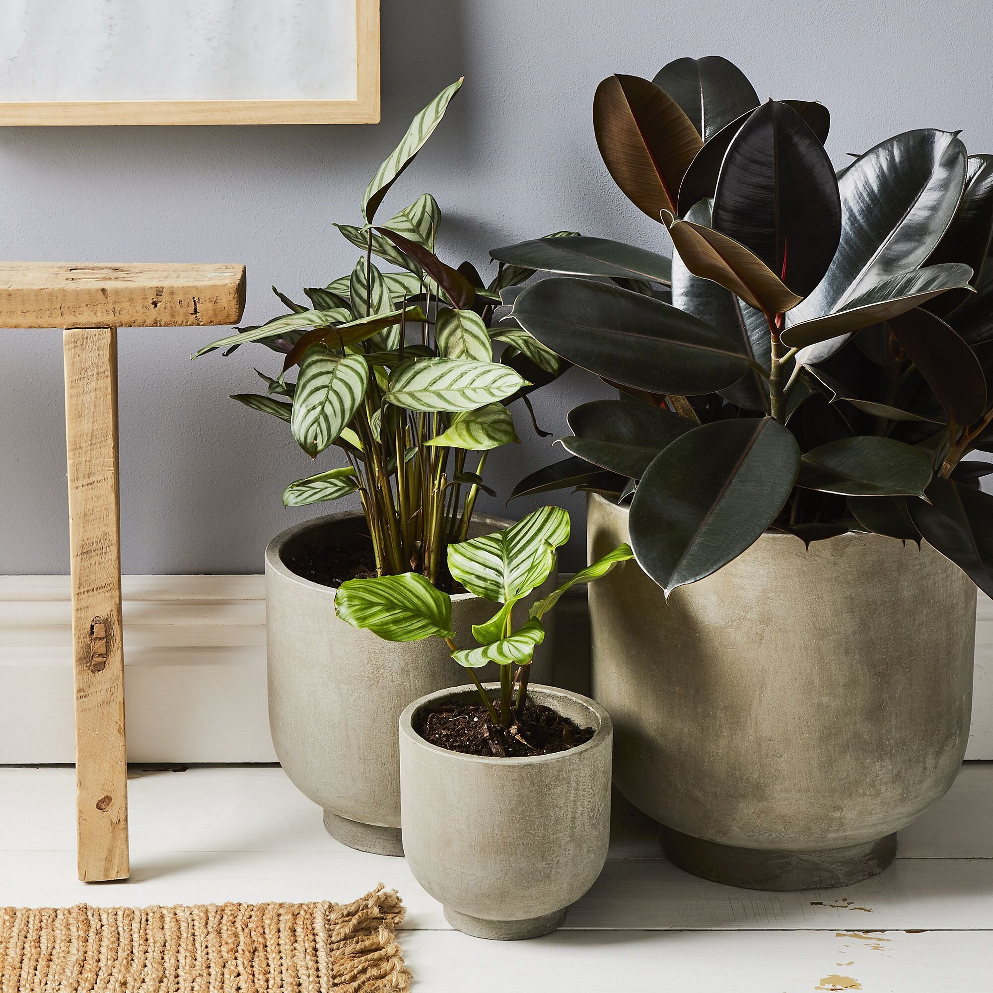 Your Guide To Planter Pots - The Good Trade