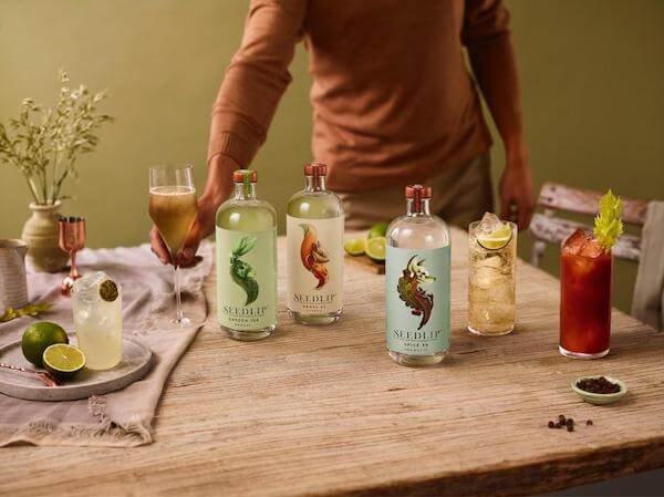 15 Best Non-Alcoholic Drinks For Sober Celebrations - The Good Trade