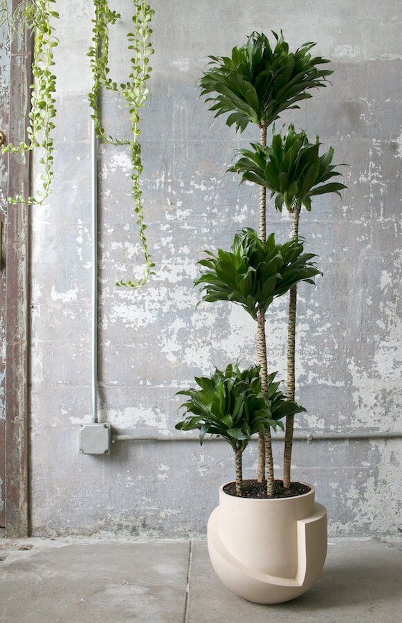 Your Guide To Planter Pots - The Good Trade