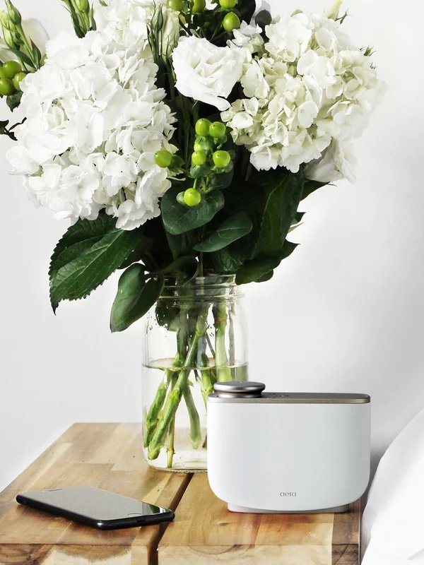 The 5 Best Essential Oil Diffusers For An Eco-Friendly Home - The Good ...