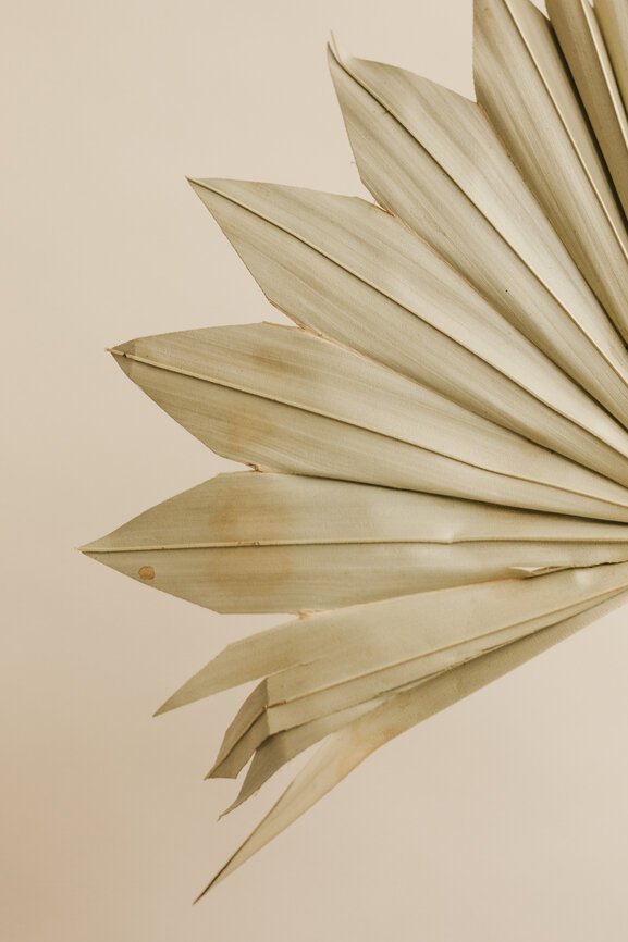 7 B Corp Certified Green Banks (So You Can Match Your Money With Your ...