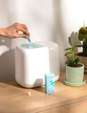 8 Eco-Friendly Humidifiers For A Nontoxic Home (2024) - The Good Trade