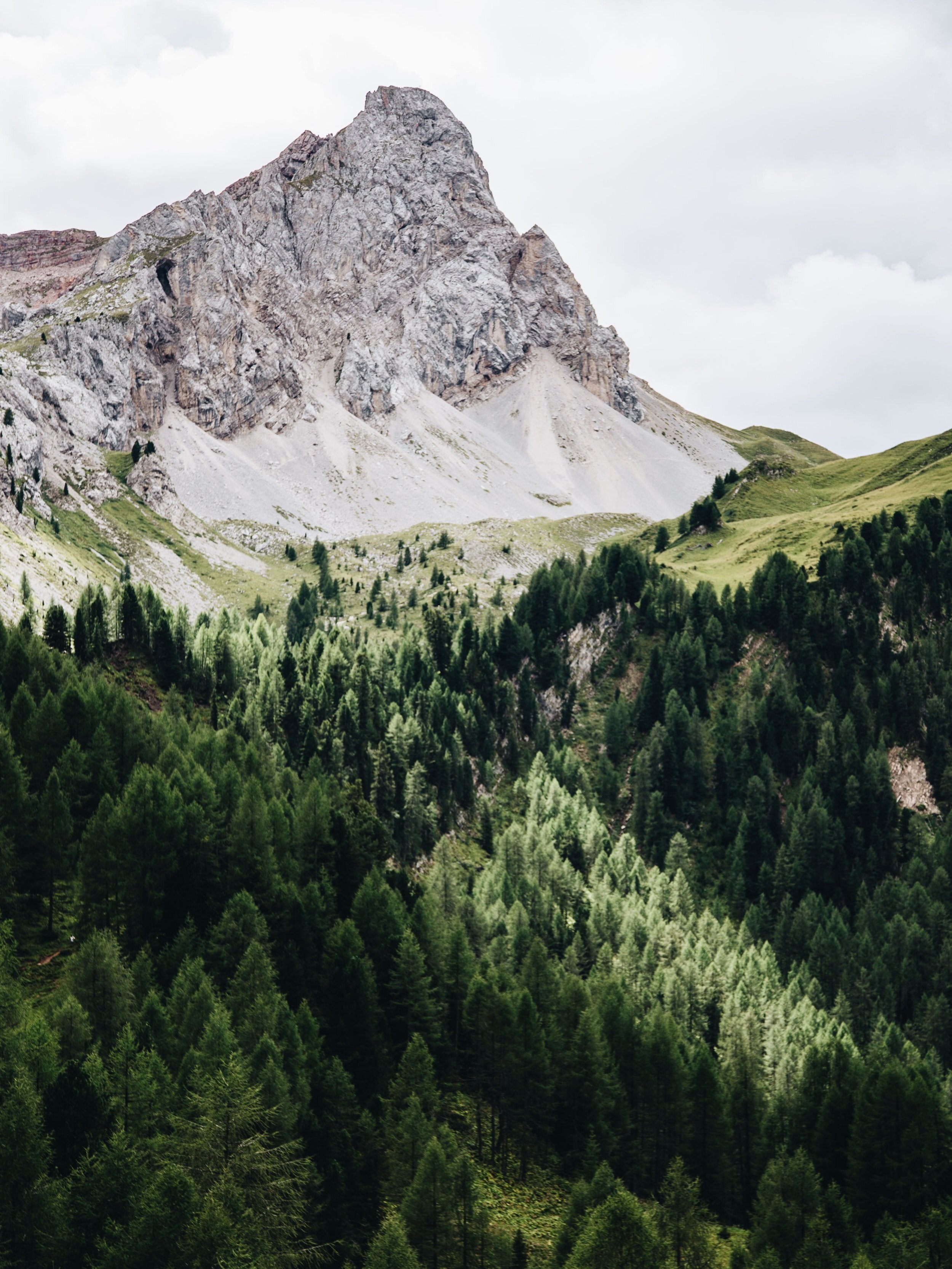 7 Sustainability Minded Brands That Plant Trees With Every Purchase ...