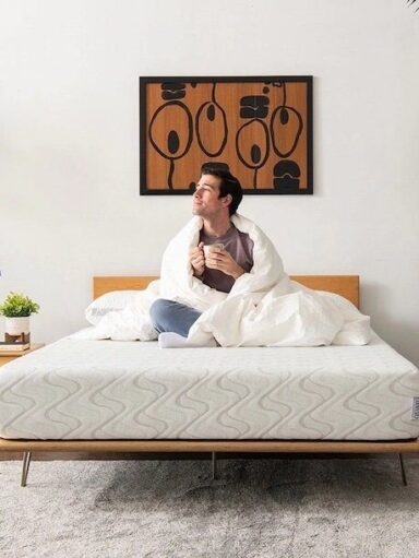 5 Best Vegan Mattresses For A Plant-Based Bed In 2023 - The Good Trade