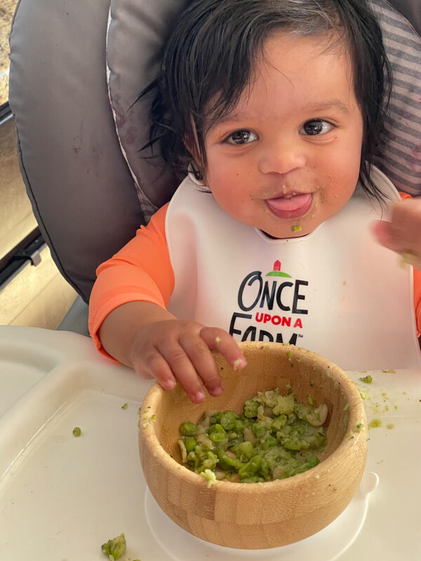 7 Organic Baby Food Services That Deliver Healthy Meals - The Good Trade