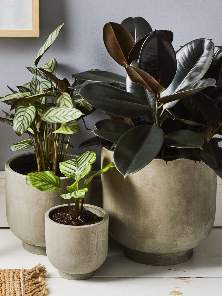 6 Sustainable Planters & Eco-Friendly Plant Pots (2025) - The Good Trade
