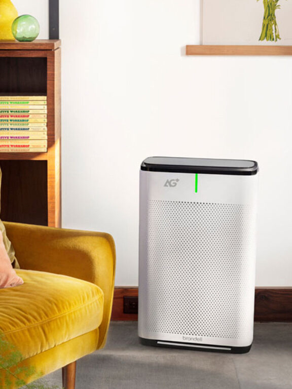 10 Best Air Purifiers For Indoors (2025) - The Good Trade