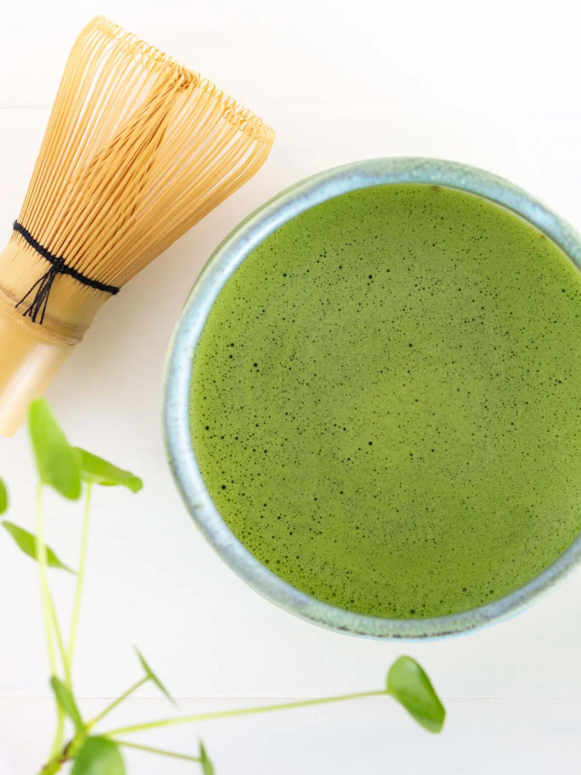 10 Top Rated And High Quality Matcha Powders (2025) - The Good Trade