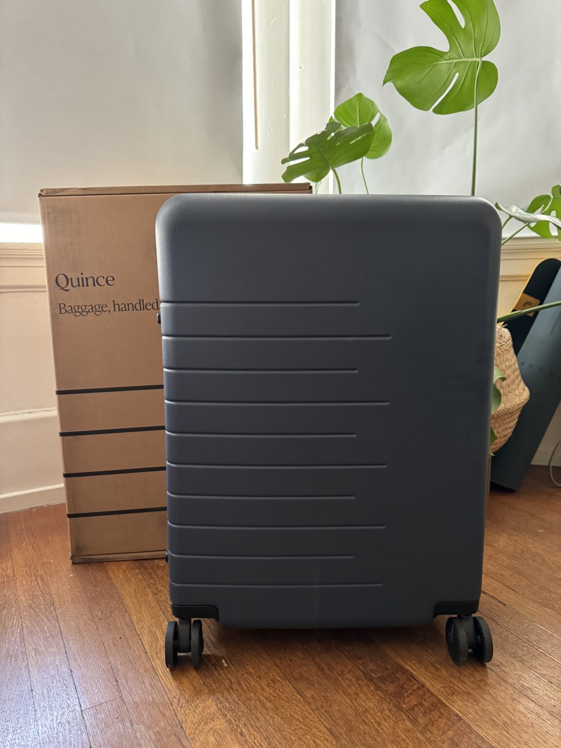 We Put Monos Vs. Quince Carry-On & Packing Cubes To The Test (2024 ...