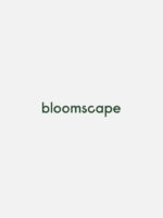 7 Websites To Buy Indoor Houseplants Online - The Good Trade