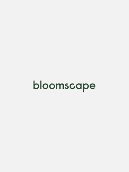 7 Websites To Buy Indoor Houseplants Online - The Good Trade