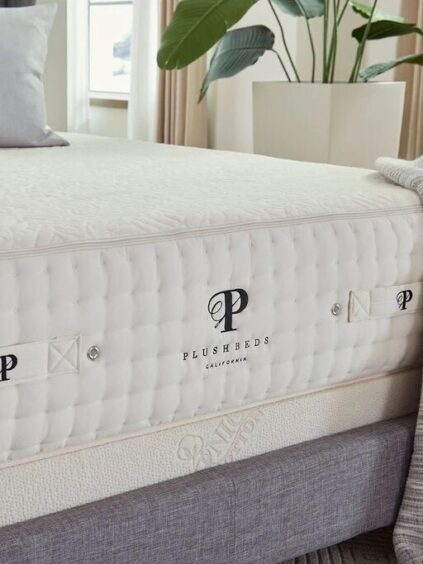 9 Best Vegan Mattresses For A Plant-Based Bed (2025) - The Good Trade