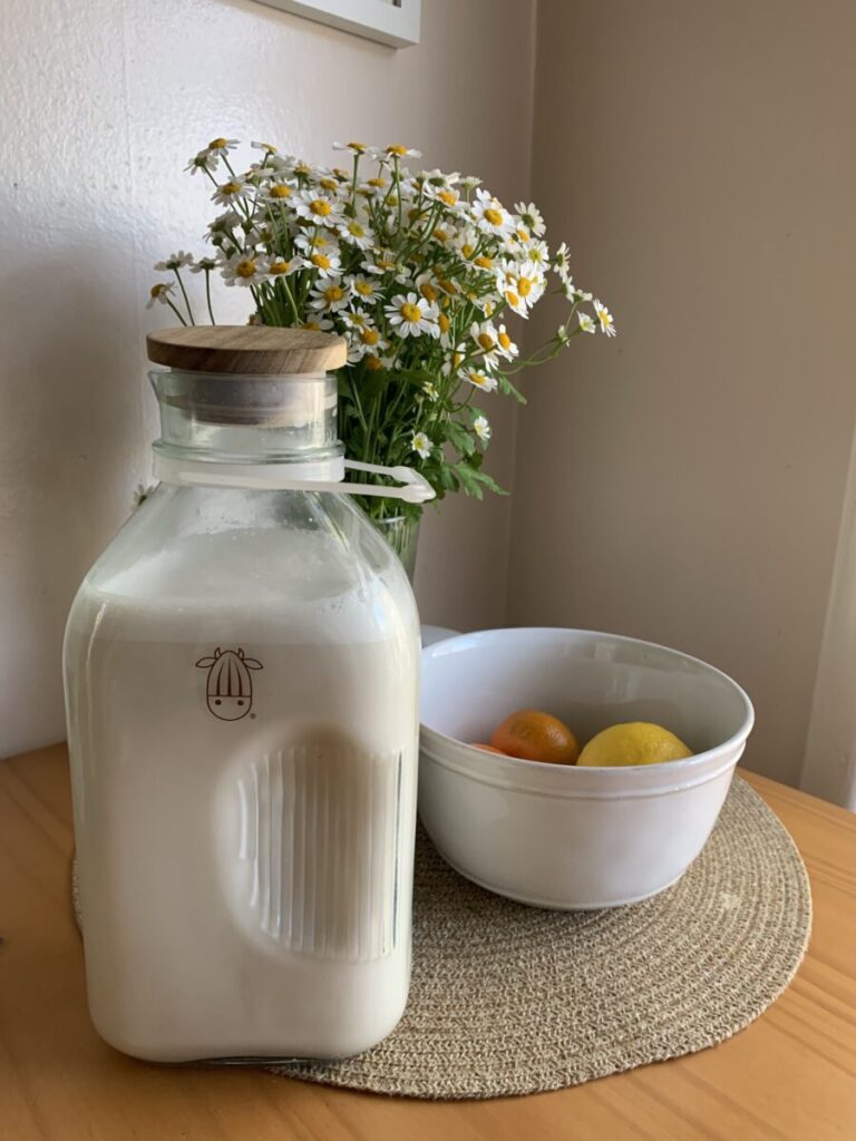 7 Best Nut Milk Makers For Easy Homemade Milk - The Good Trade