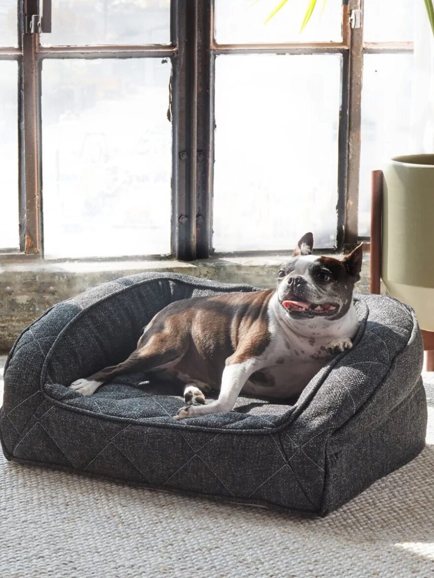 7 Best Orthopedic Dog Beds Made With Natural Materials - The Good Trade