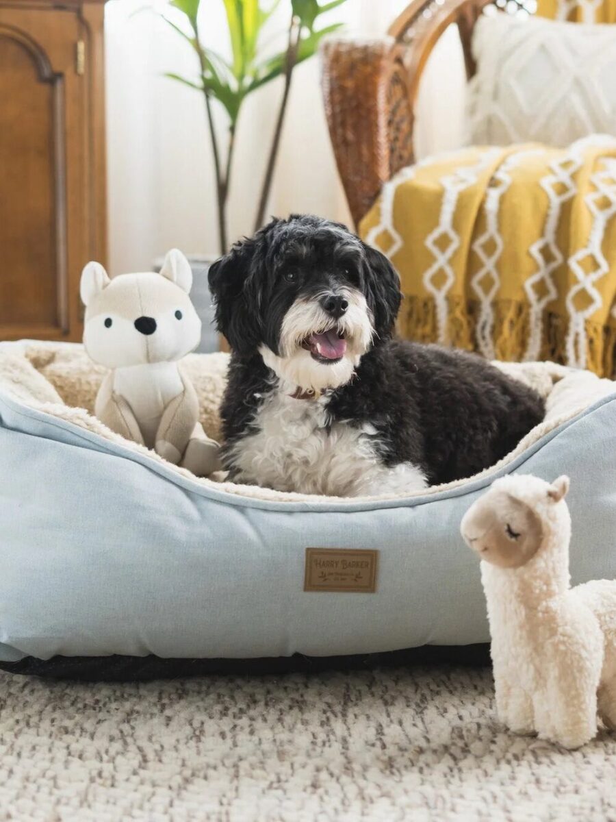 7 Sustainable Dog Beds With Non-Toxic Materials (2025) - The Good Trade