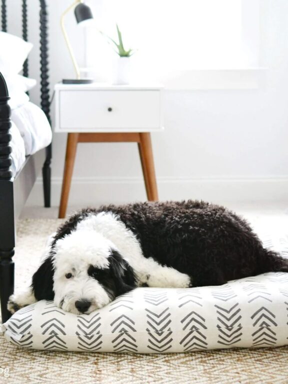 7 Best Orthopedic Dog Beds Made With Natural Materials - The Good Trade