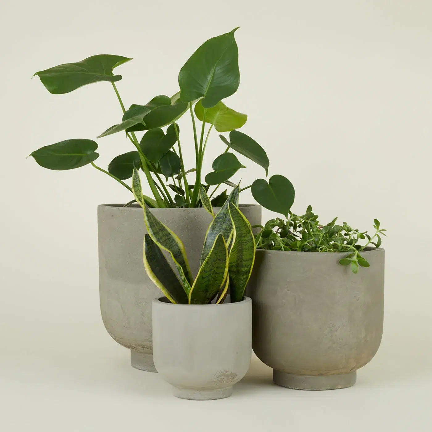 8 Sustainable Planters & Eco-Friendly Plant Pots (2025) - The Good Trade