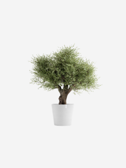 8 Sustainable Planters & Eco-Friendly Plant Pots (2025) - The Good Trade