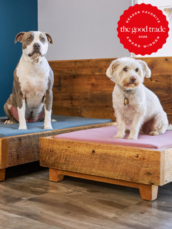 7 Best Orthopedic Dog Beds Made With Natural Materials - The Good Trade