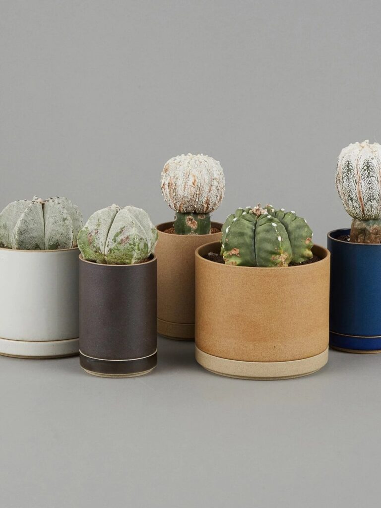 The Best Eco-Friendly Planter Pots For 2026 - The Good Trade