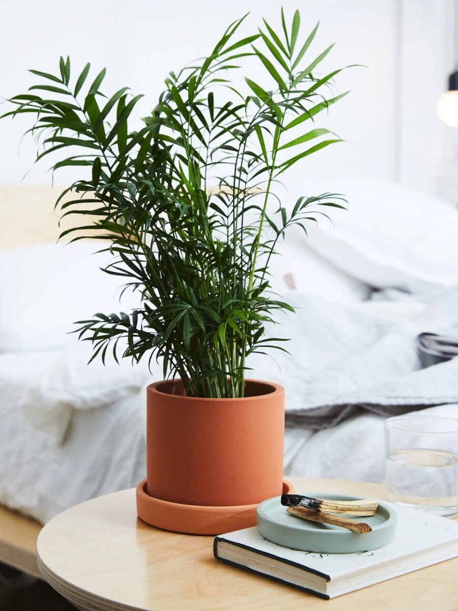 The Best Eco-Friendly Planter Pots For 2025 - The Good Trade