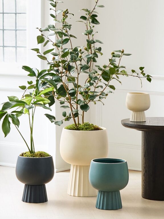 The Best Eco-Friendly Planter Pots For 2026 - The Good Trade