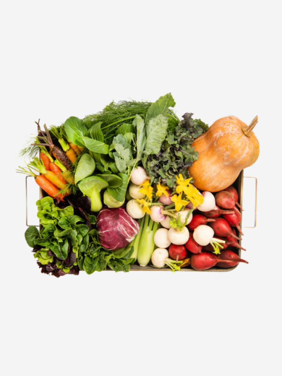 10 Organic Produce And Vegetable Delivery Boxes For 2025 - The Good Trade