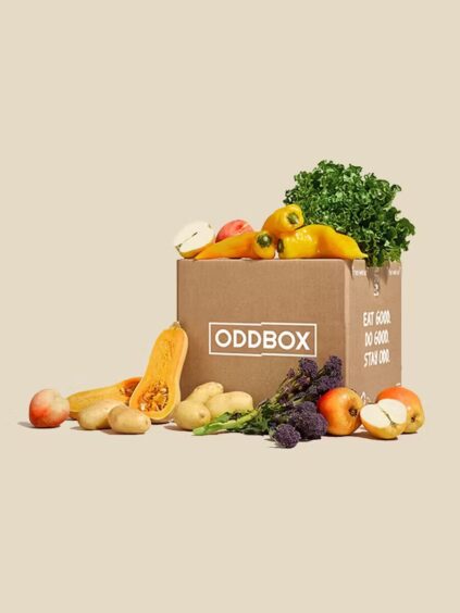 10 Organic Produce And Vegetable Delivery Boxes For 2026 - The Good Trade