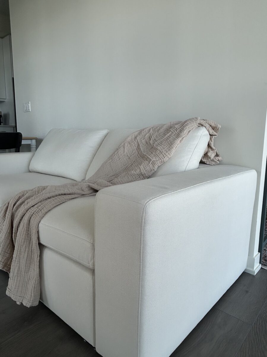 We Review Silk & Snow’s PFAS-Free Stain-Resistant Couch - The Good Trade