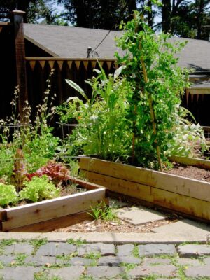 7 Best Garden Beds For Growing Produce - The Good Trade
