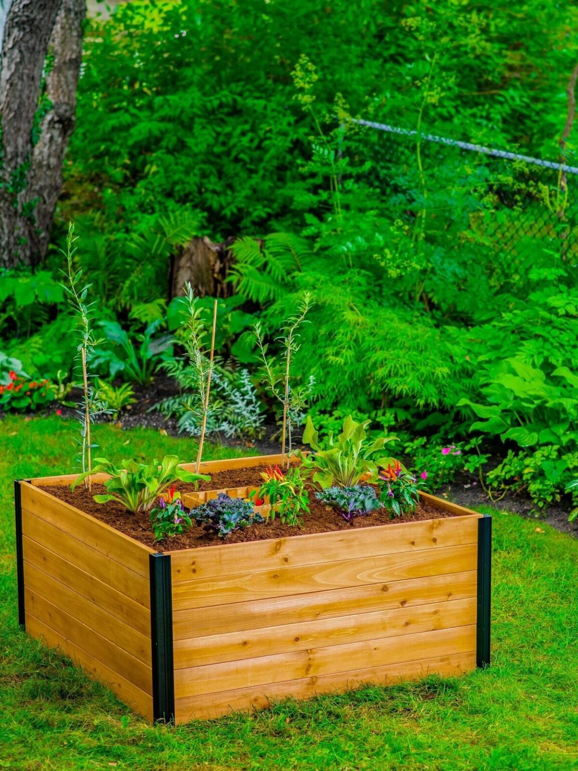 7 Best Garden Beds For Growing Produce - The Good Trade