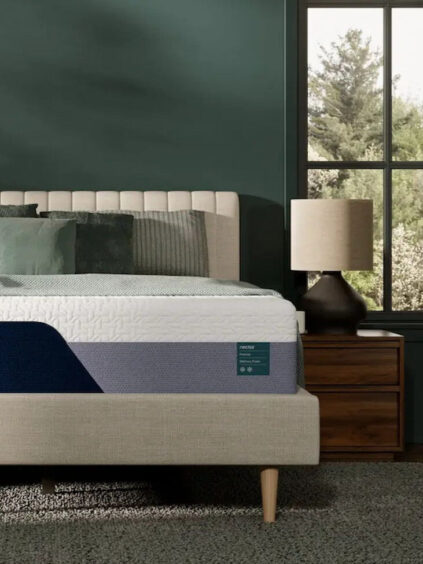 9 Best Vegan Mattresses For A Plant-Based Bed (2026) - The Good Trade