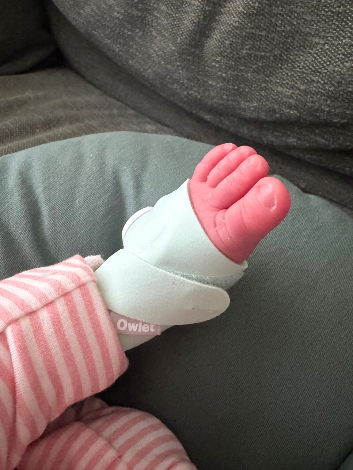 We Review The Owlet Dream Sock And Baby Monitor (2026) - The Good Trade