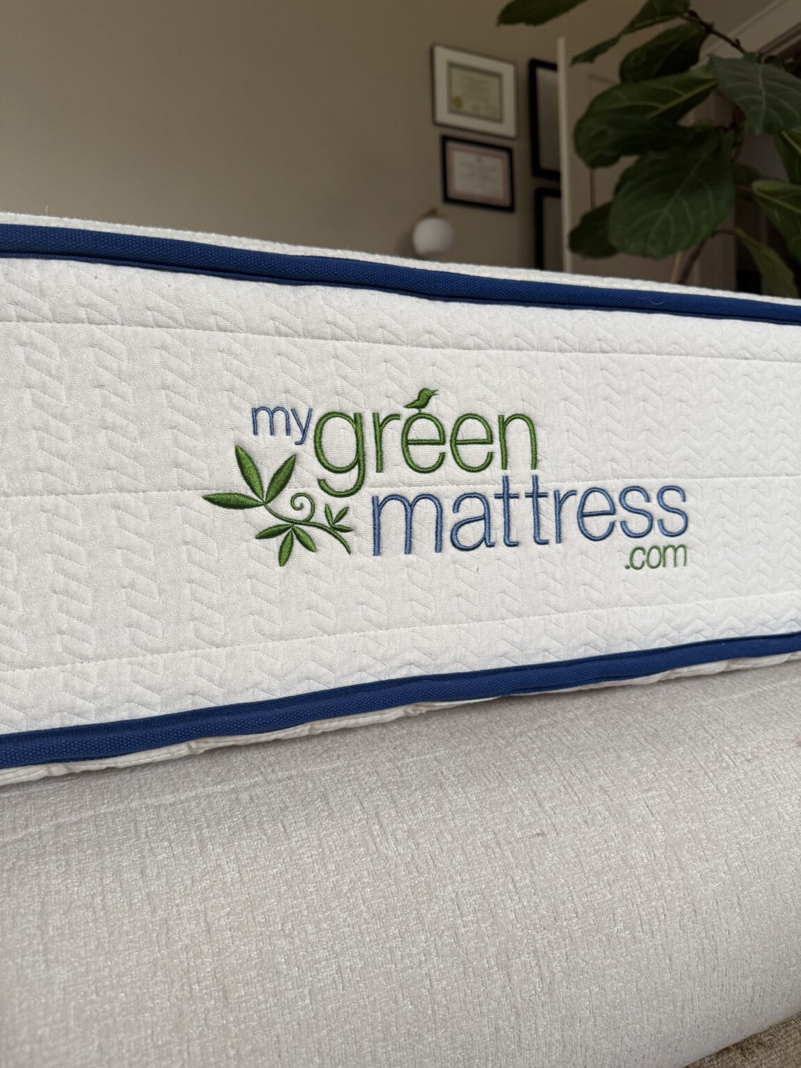 I Tried The Kiwi Organic From My Green Mattress (Review) - The Good Trade