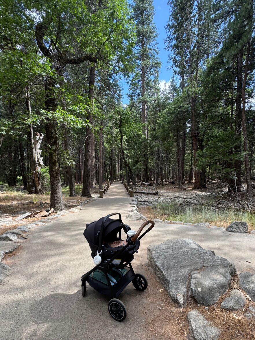 Is The Nuna Stroller And Carseat Worth It? (2026 Review) - The Good Trade