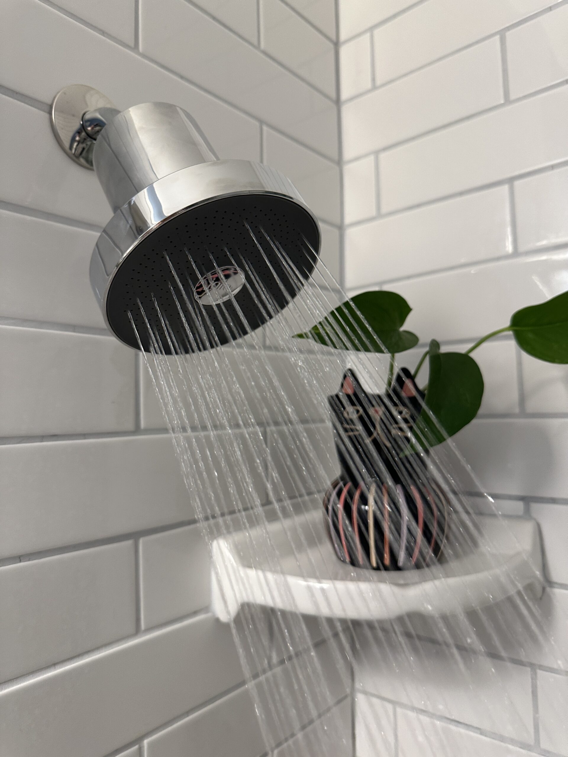 We Tested The Top 3 Filter Shower Heads Of 2026 - The Good Trade