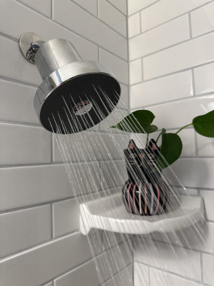 We Tested The Top 3 Filter Shower Heads Of 2026 - The Good Trade