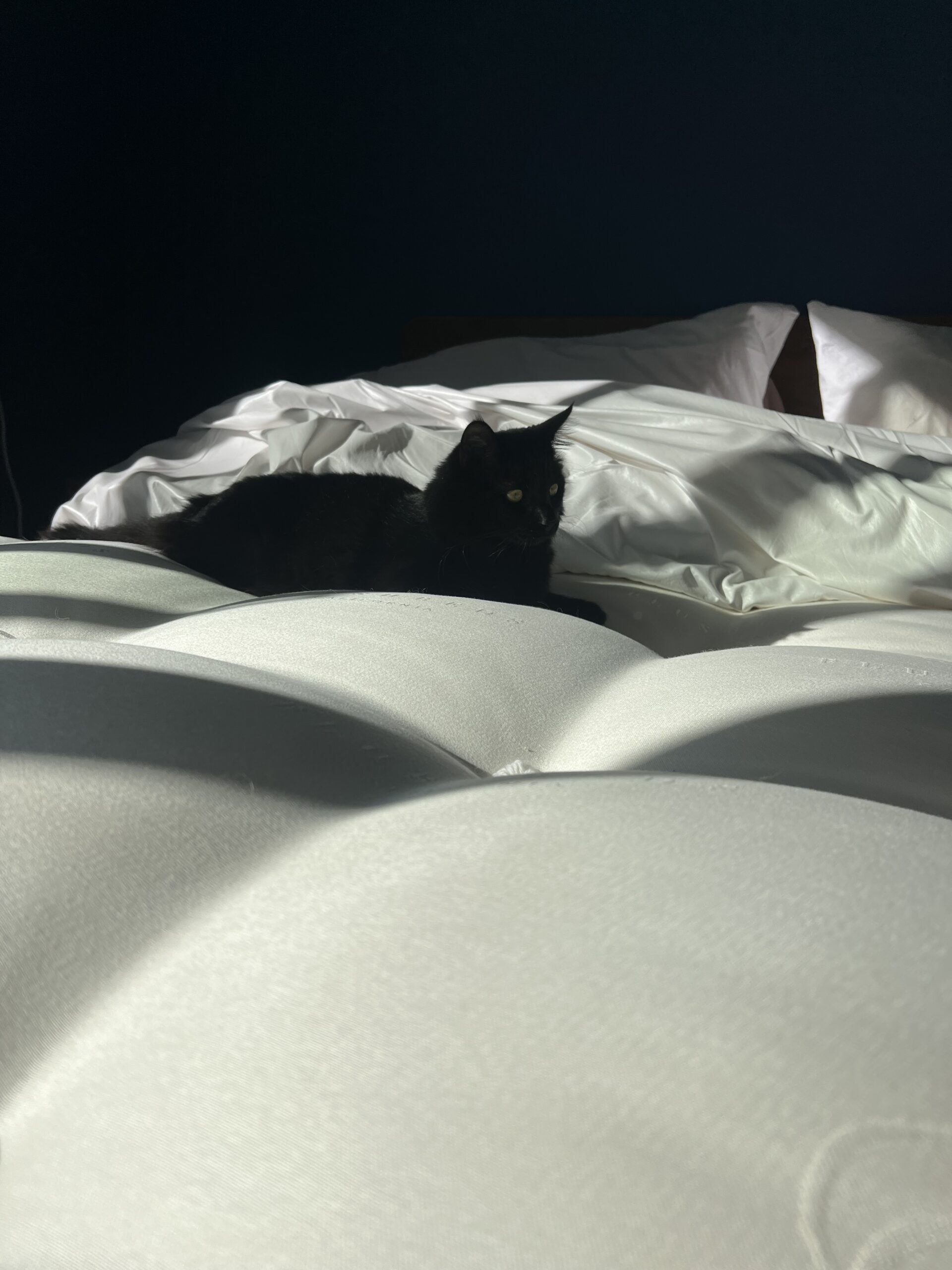Sleeping Like A Queen I Review The Royal Bliss Luxury Mattress From