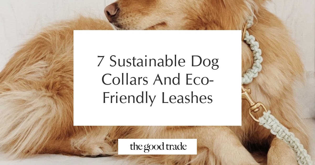 7 Sustainable Dog Collars And Eco-Friendly Leashes - The Good Trade