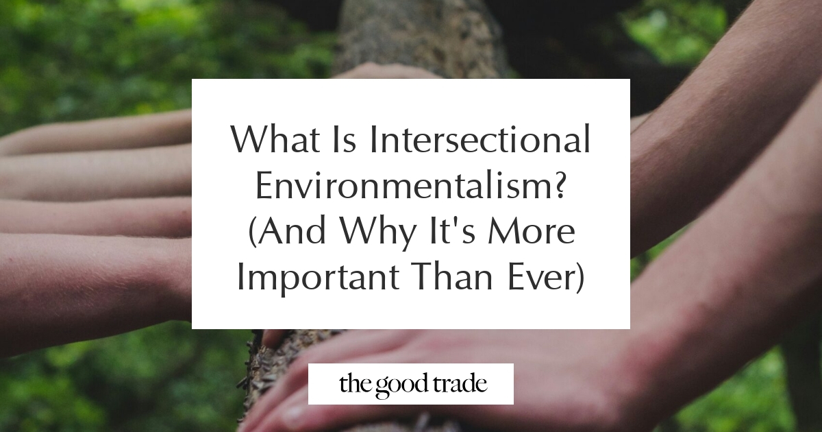 What Is Intersectional Environmentalism? (And Why It's More Important ...