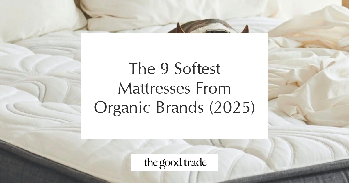 The 9 Softest Mattresses From Organic Brands (2025) - The Good Trade