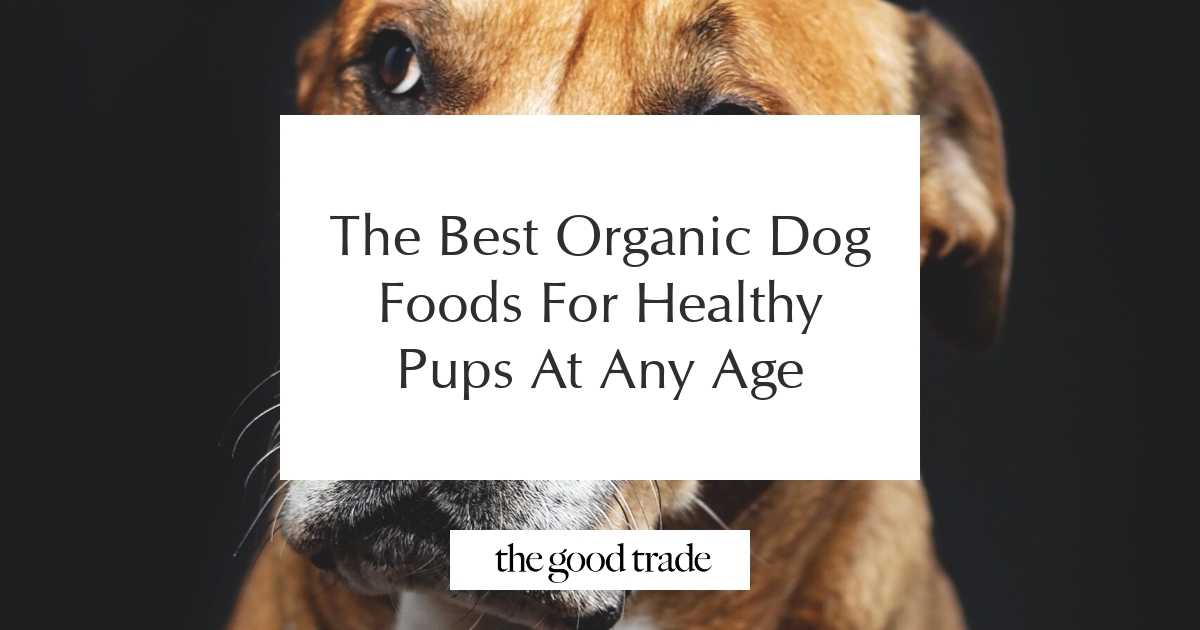 The Best Organic Dog Foods For Healthy Pups At Any Age - The Good Trade
