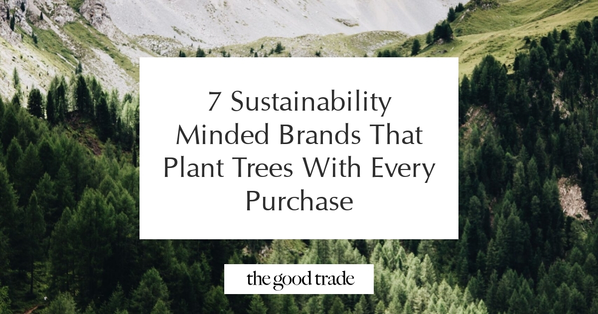 7 Sustainability Minded Brands That Plant Trees With Every Purchase ...