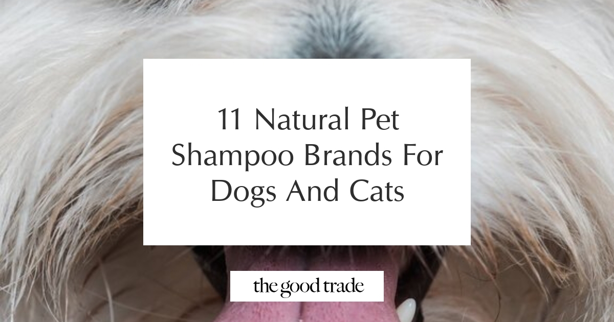 11 Natural Pet Shampoo Brands For Dogs And Cats - The Good Trade