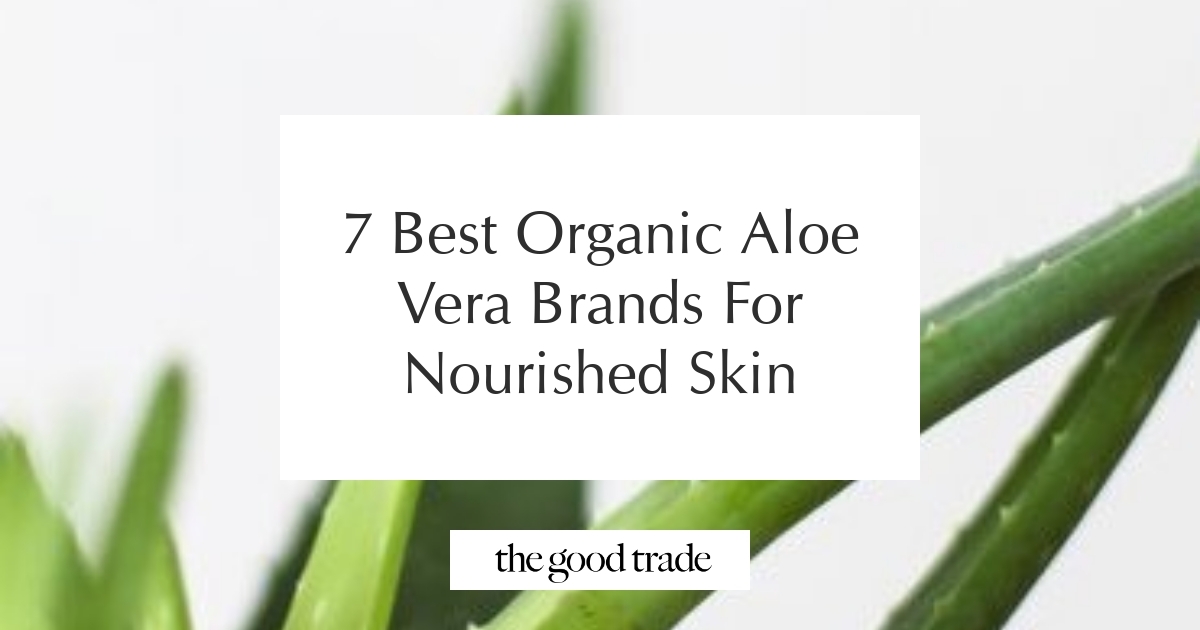 7 Best Organic Aloe Vera Brands For Nourished Skin - The Good Trade